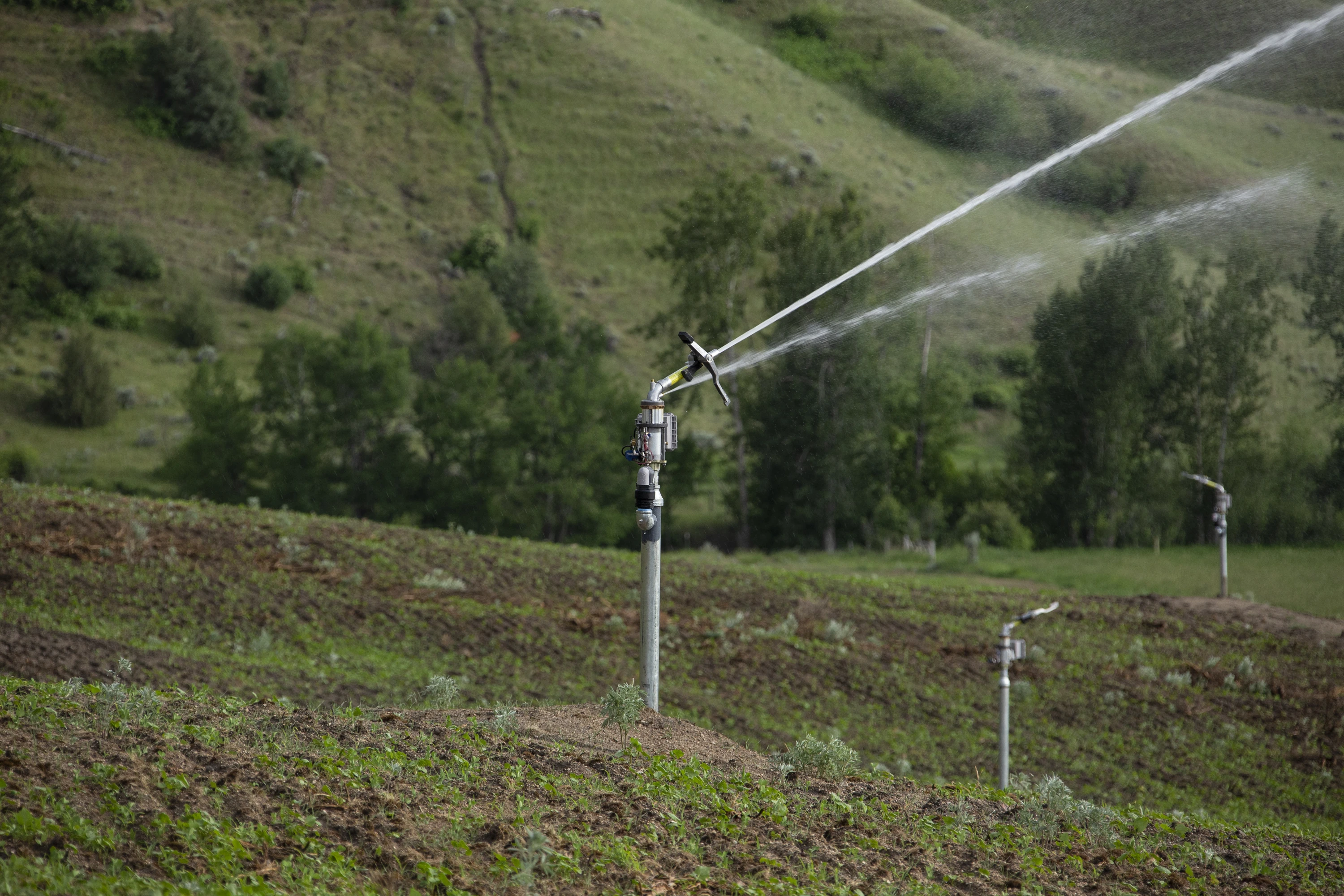 100 Series Big Gun® Sprinkler From Nelson Irrigation