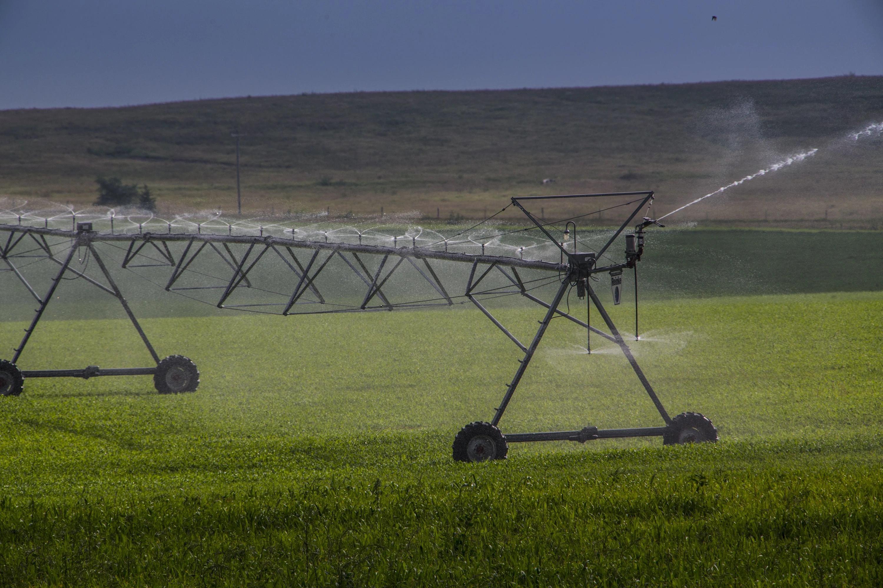The Accelerator from Nelson Irrigation
