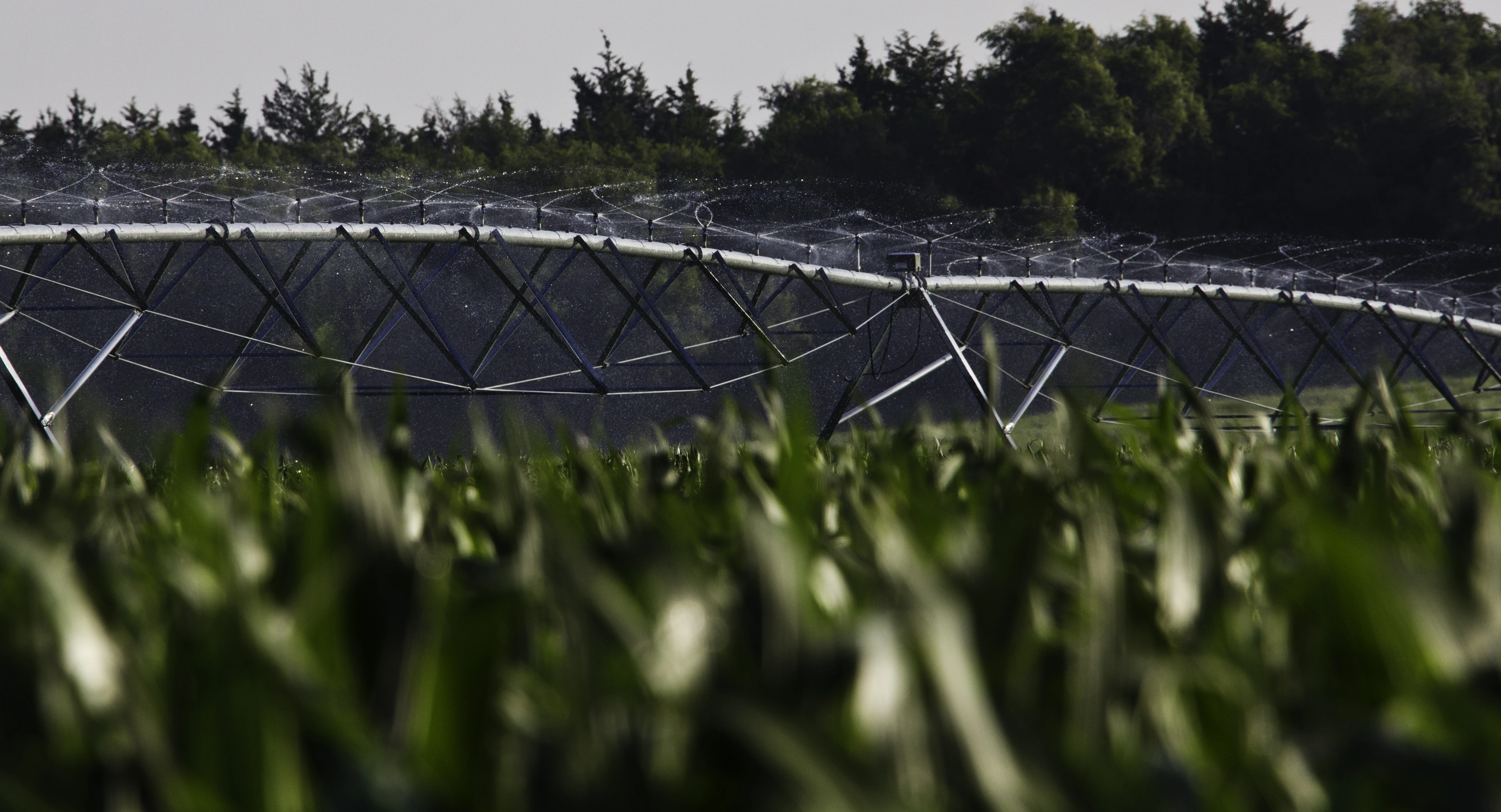 The Accelerator from Nelson Irrigation