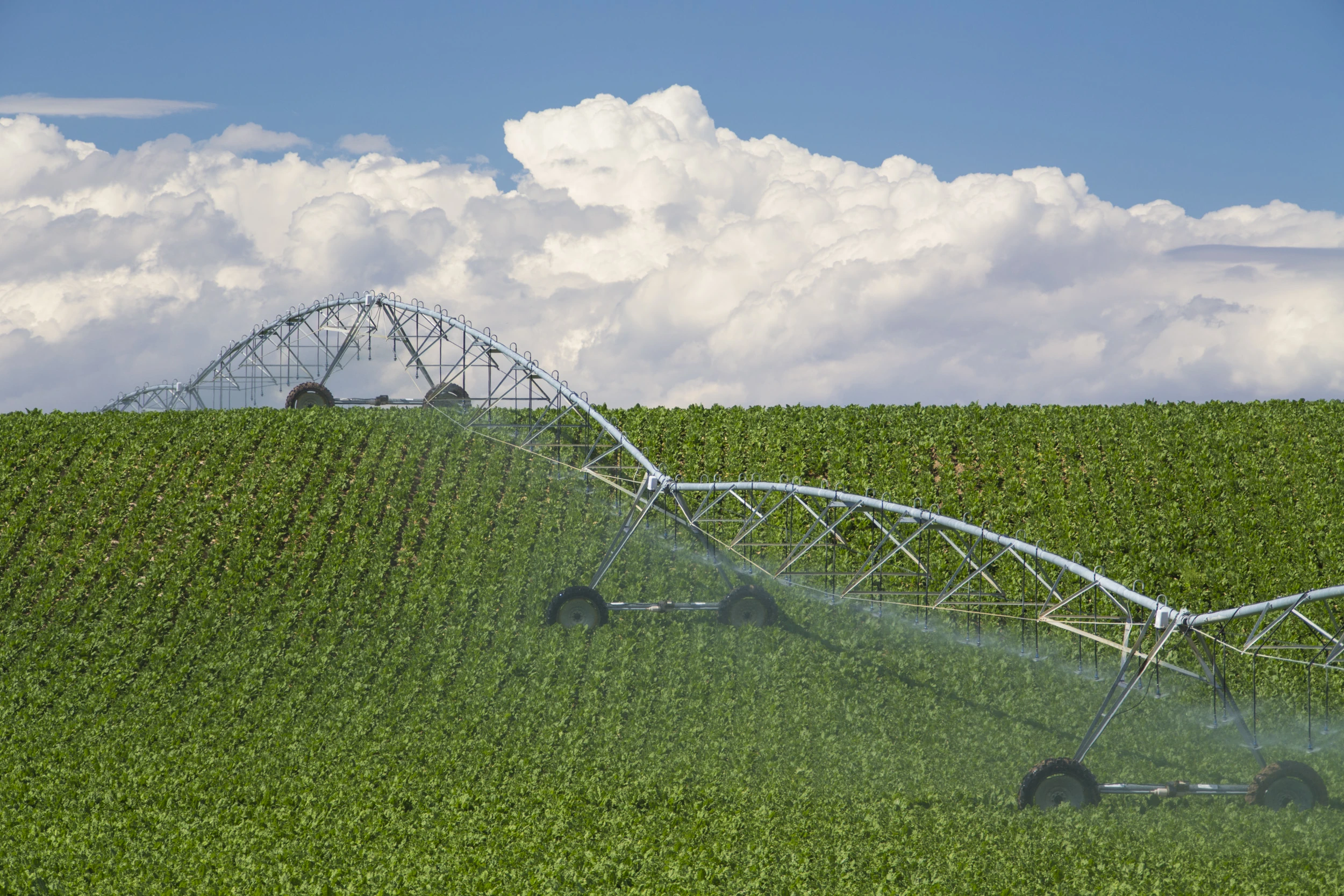 Orbitor Irrigation Sprinklers from Nelson Irrigation
