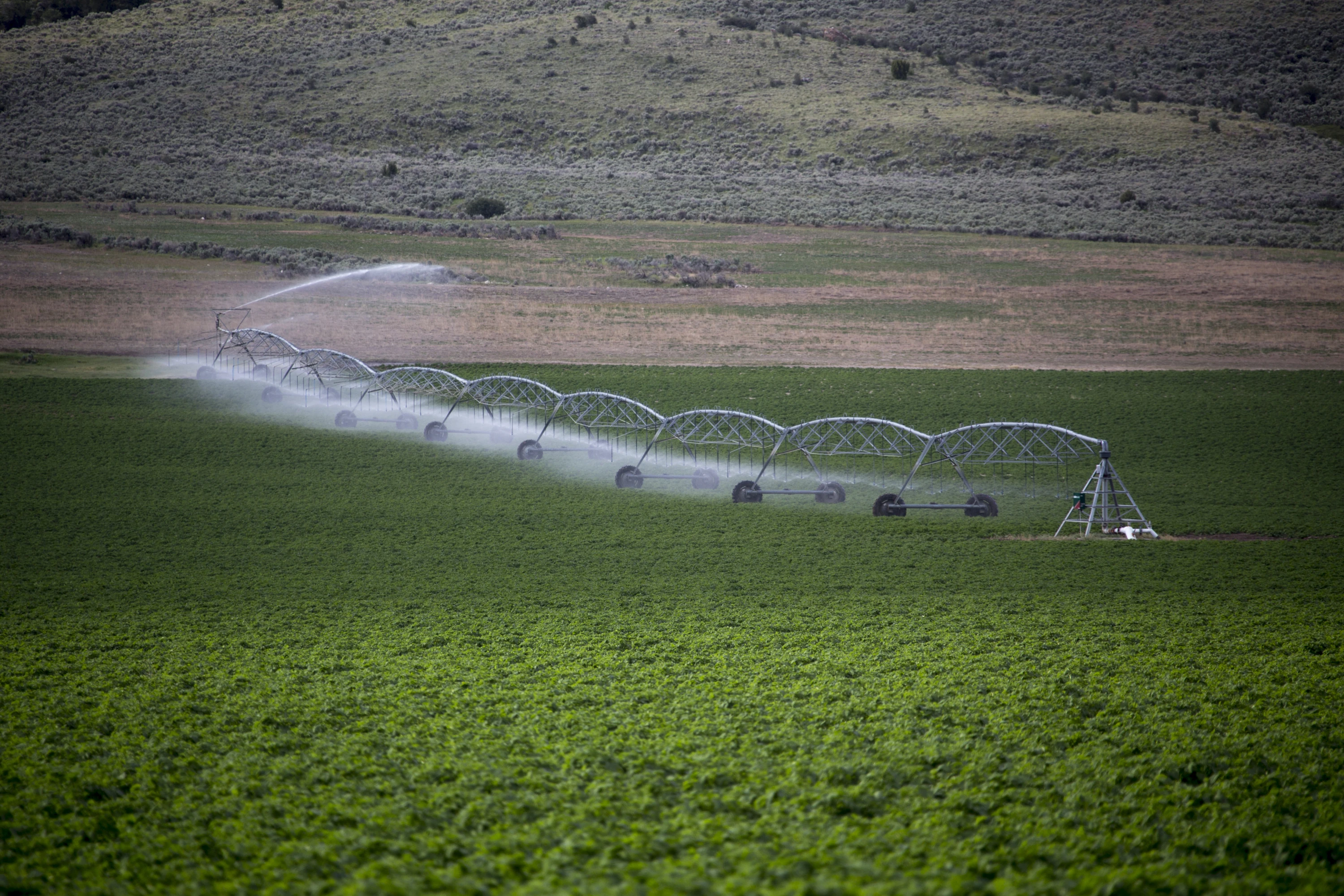 Orbitor Irrigation Sprinklers from Nelson Irrigation