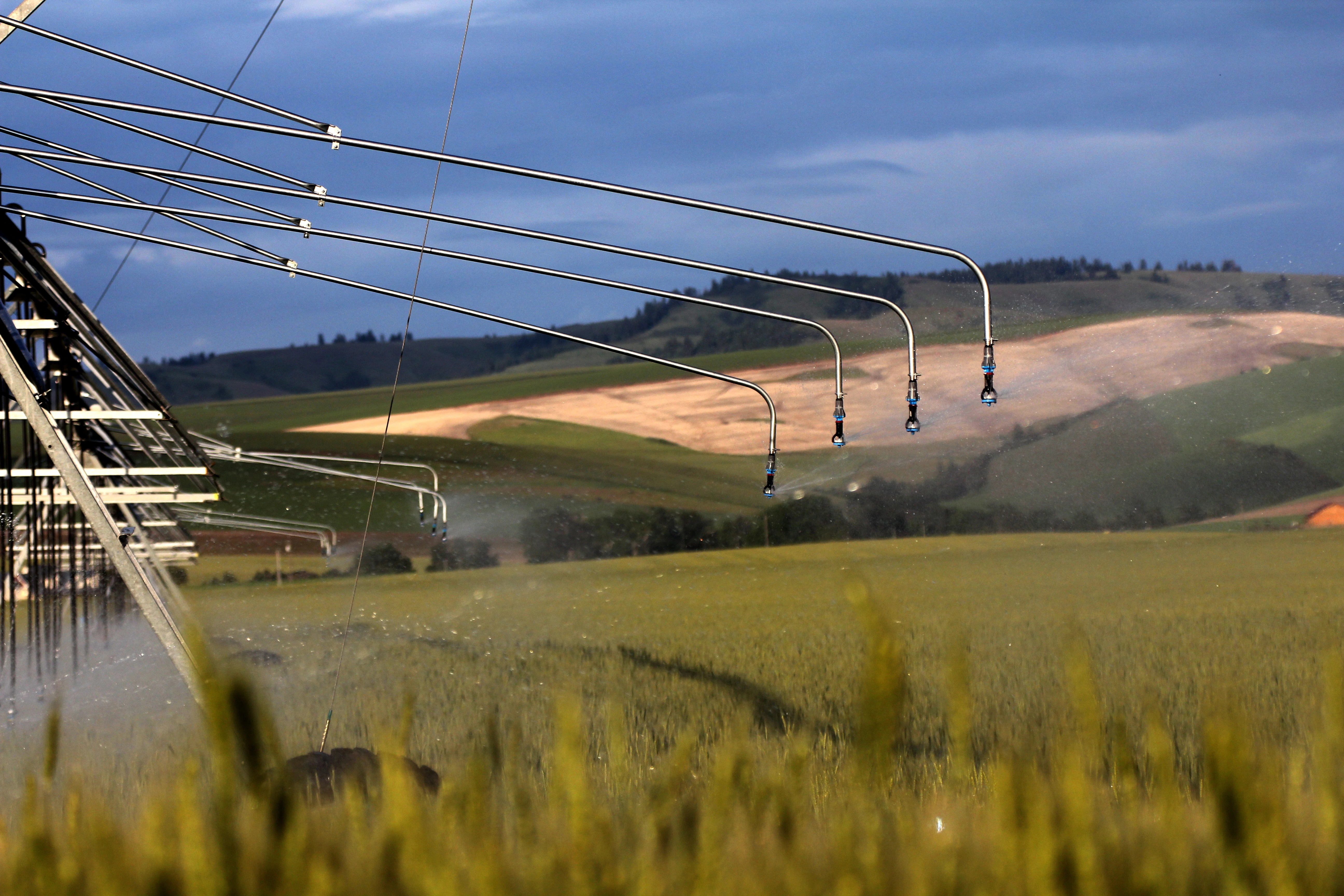 Part-Circle Sprinklers from Nelson Irrigation