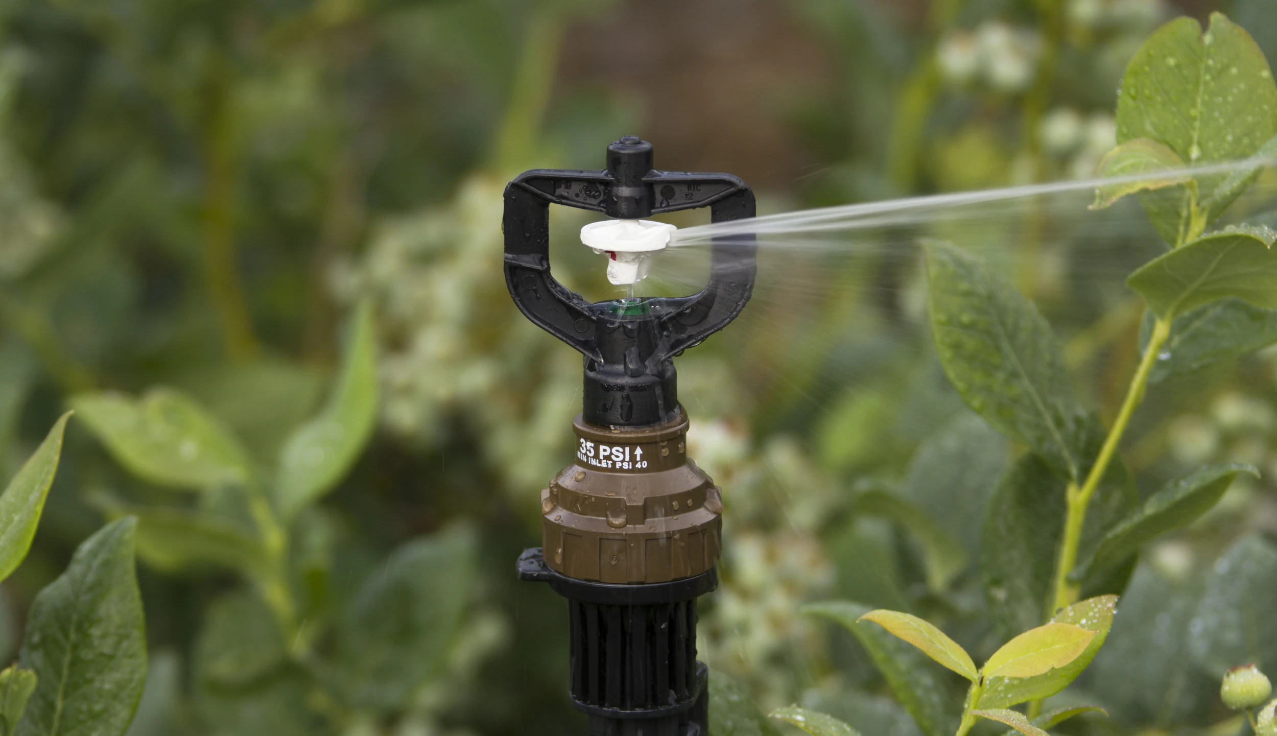 R10/R10LP Rotator® by Nelson Irrigation