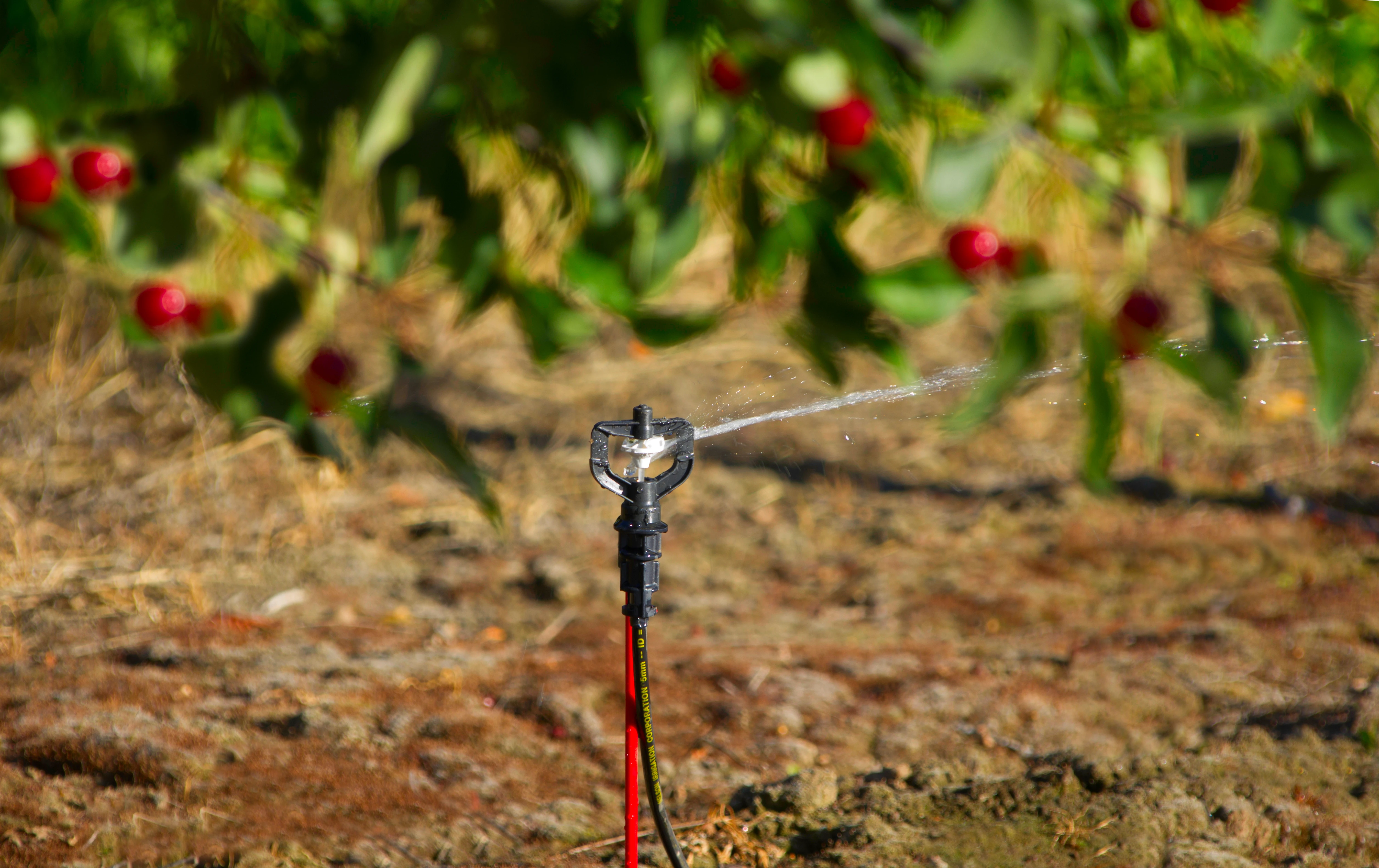 R10/R10LP Rotator® by Nelson Irrigation