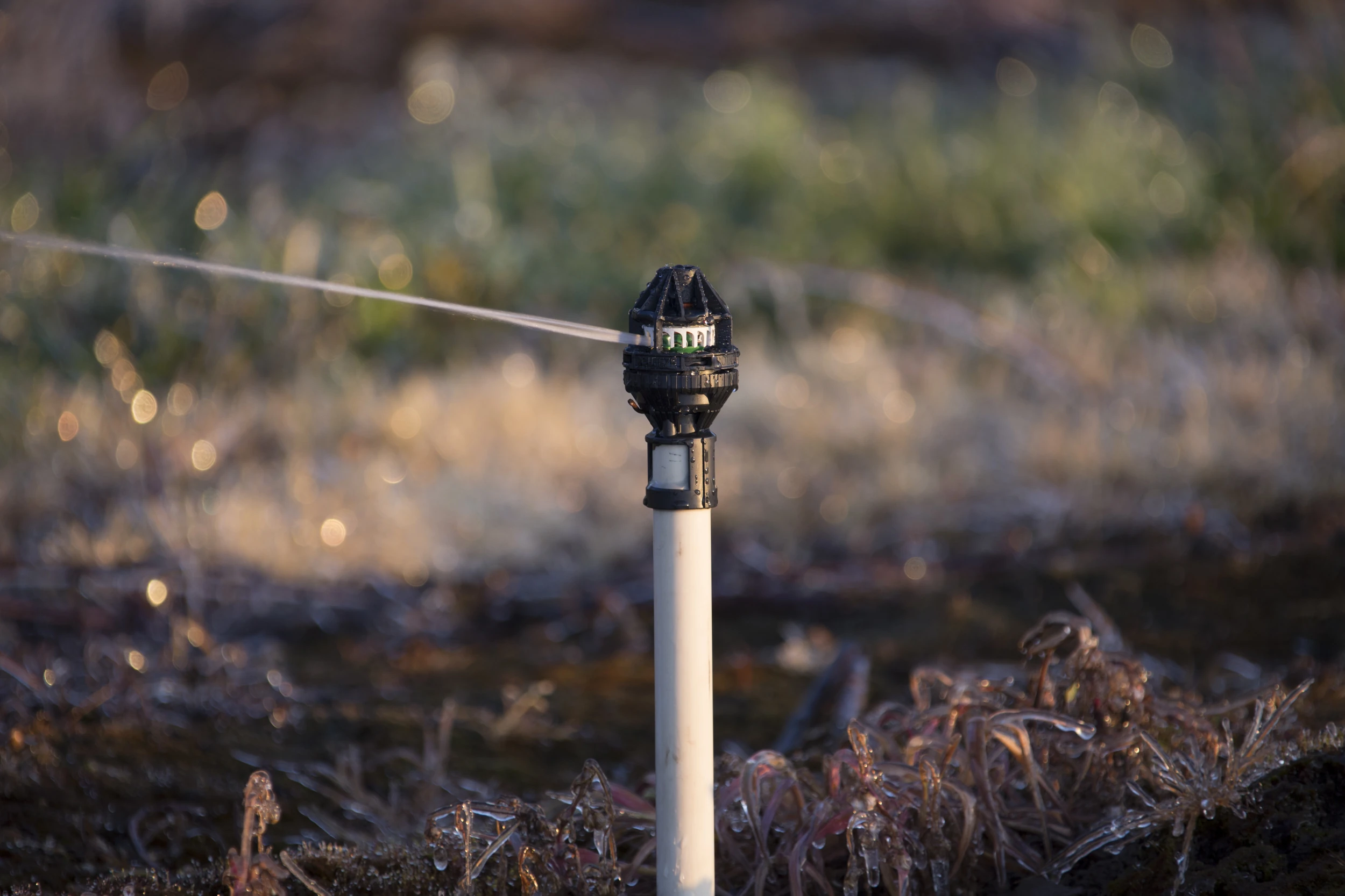 R2000 Rotator® from Nelson Irrigation