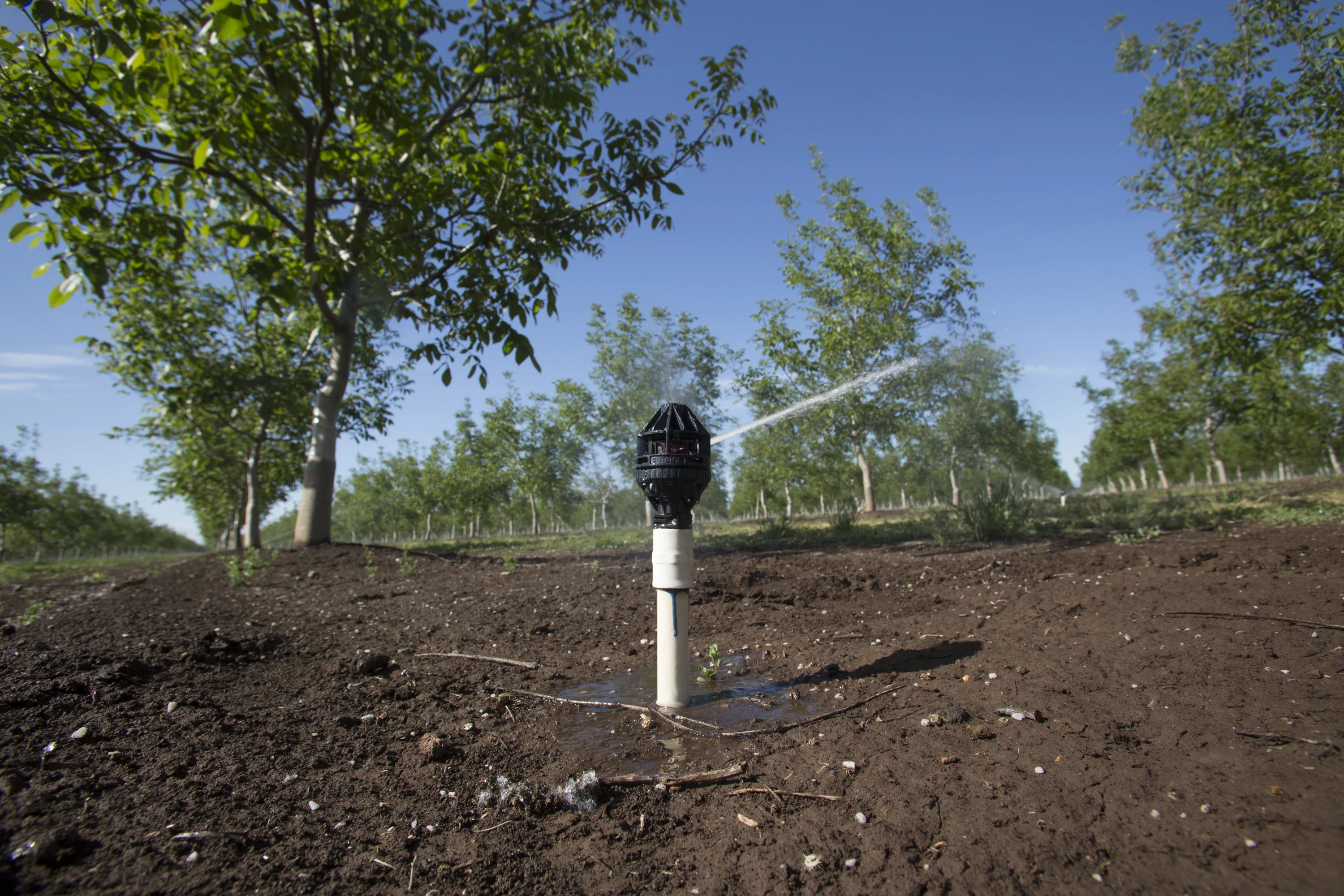 R2000 Rotator® from Nelson Irrigation