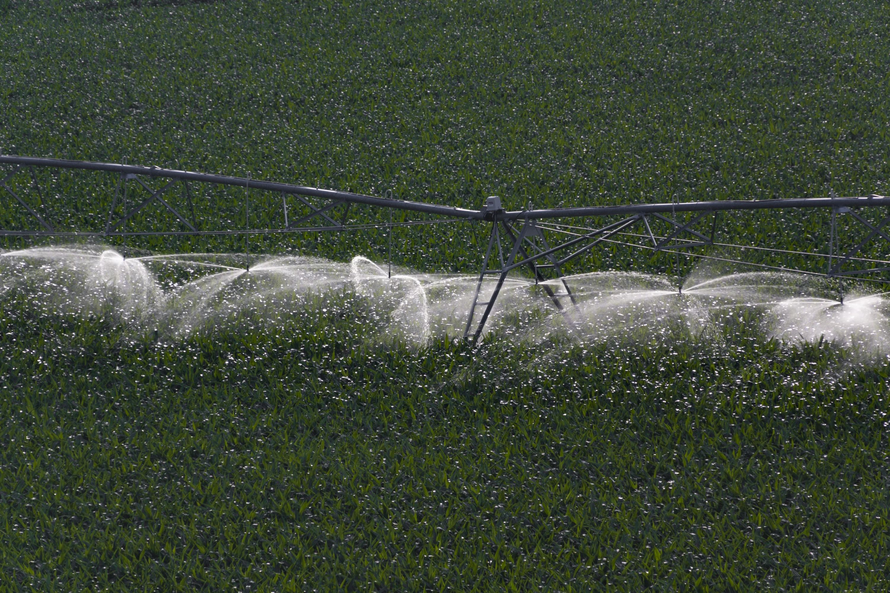 Rotator® from Nelson Irrigation