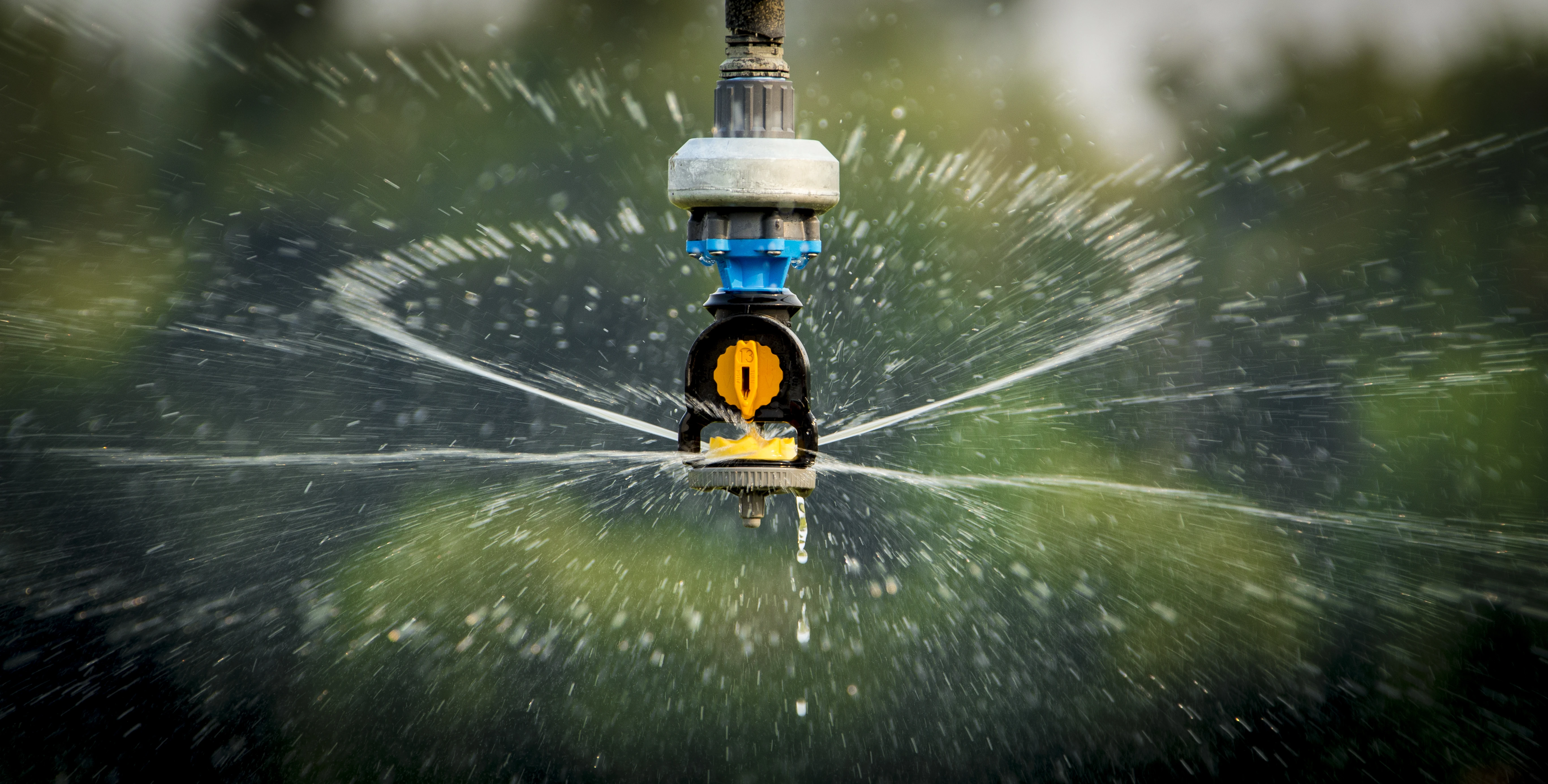 Spinner from Nelson Irrigation