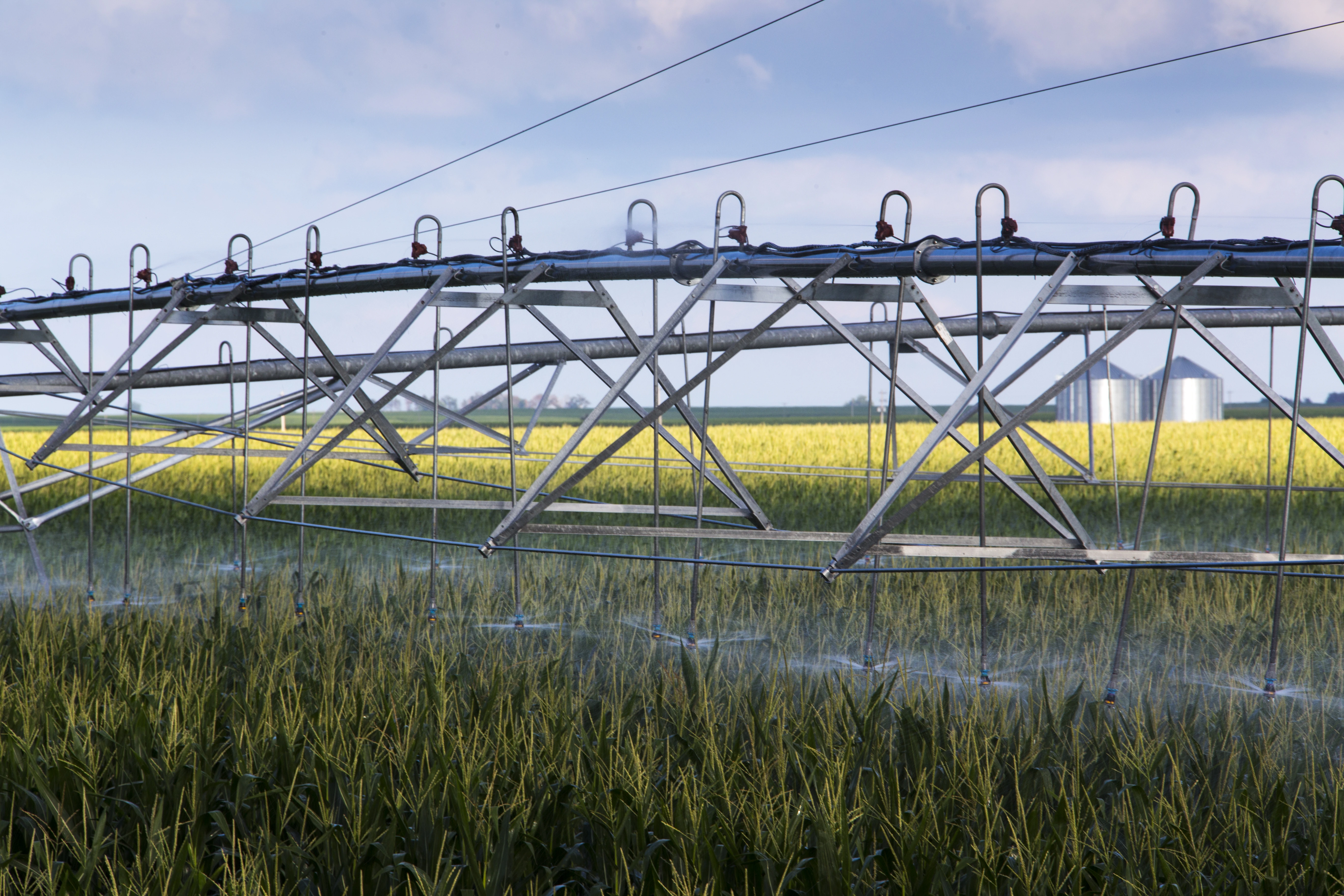 Spinner from Nelson Irrigation