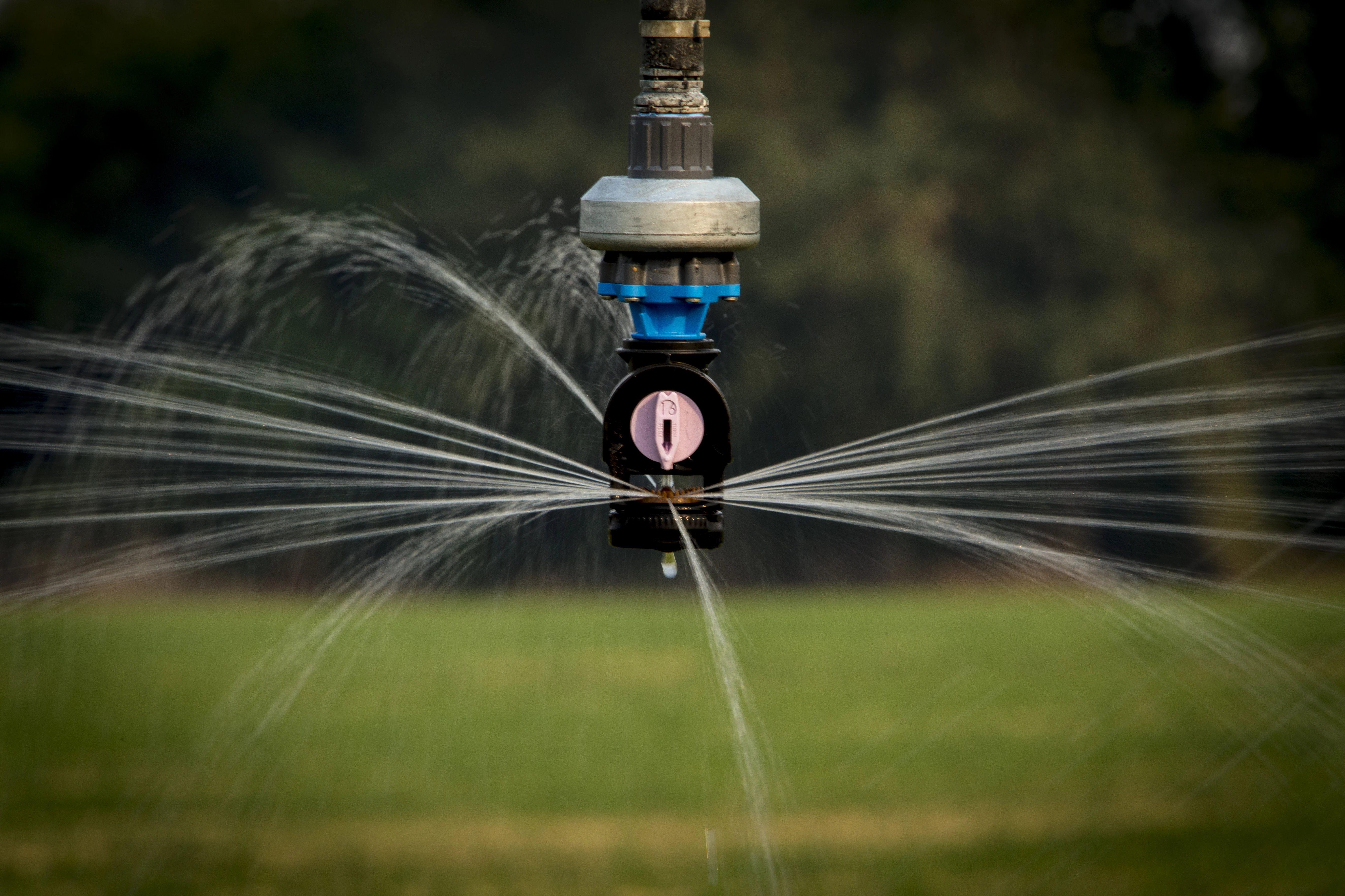 Sprayhead from Nelson Irrigation